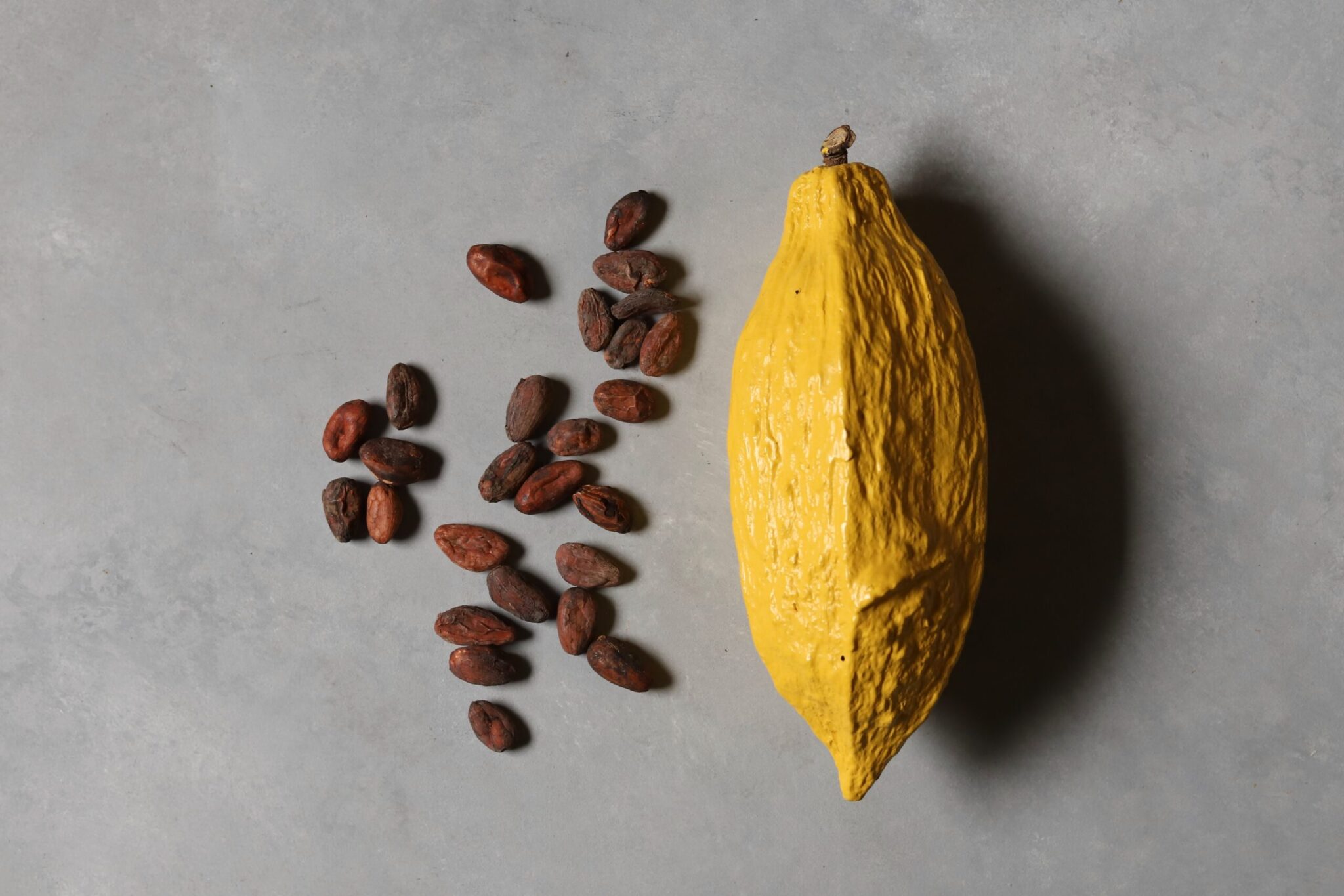 【2026バレンタイン】CHOCOLATERIE TOKIのボンボンショコラ徹底解剖｜一粒で幸せが溢れる至高のギフト ...